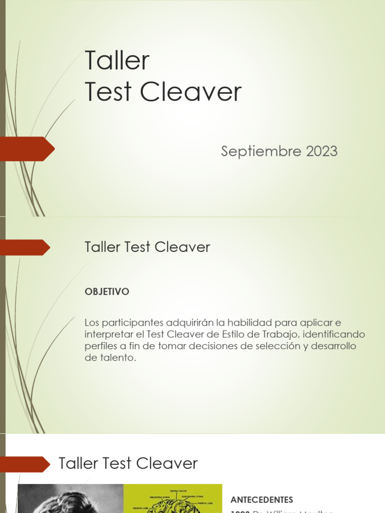 Taller Test Cleaver 2023 | PDF | Teoría de apego | Planificación