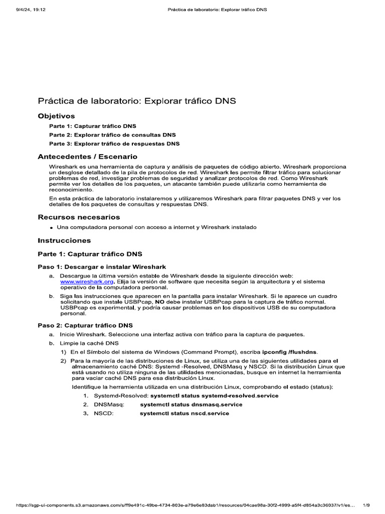 4.1.7-Lab - Exploring DNS Traffic | PDF