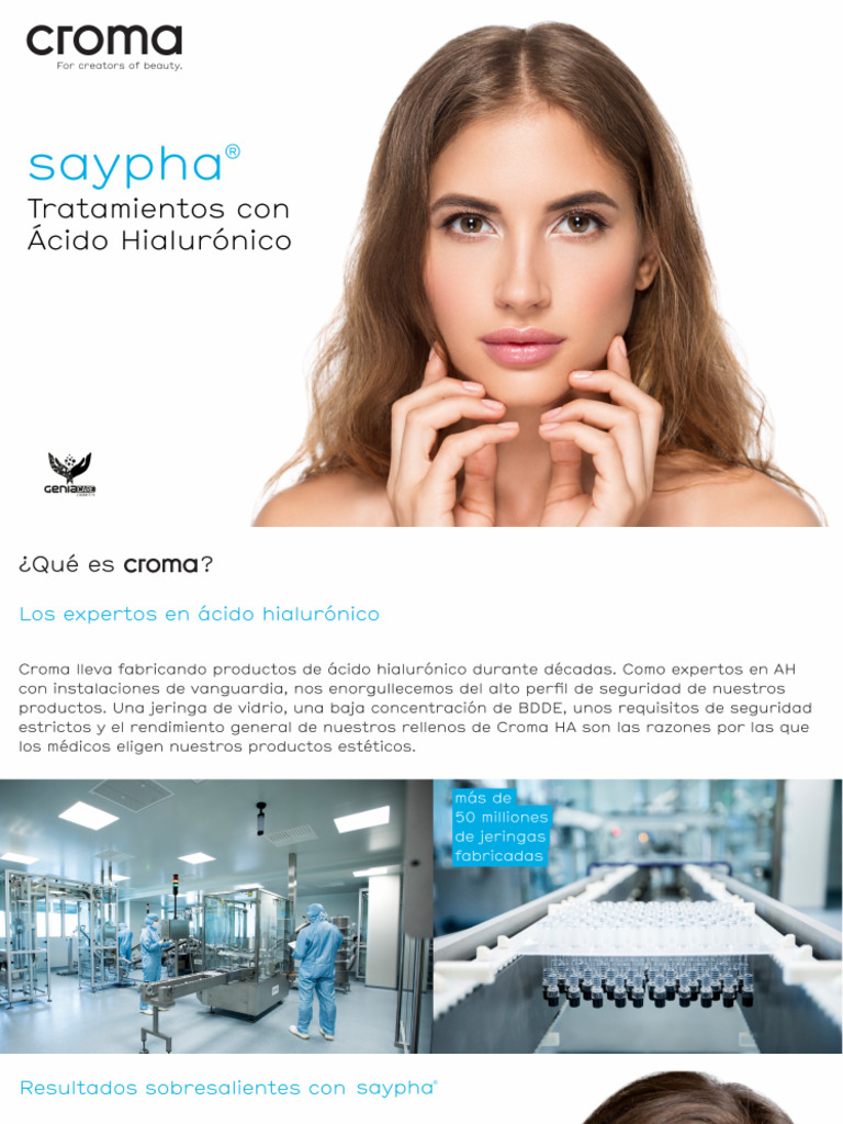 Ayuda Visual Saypha_26022024 2 | PDF