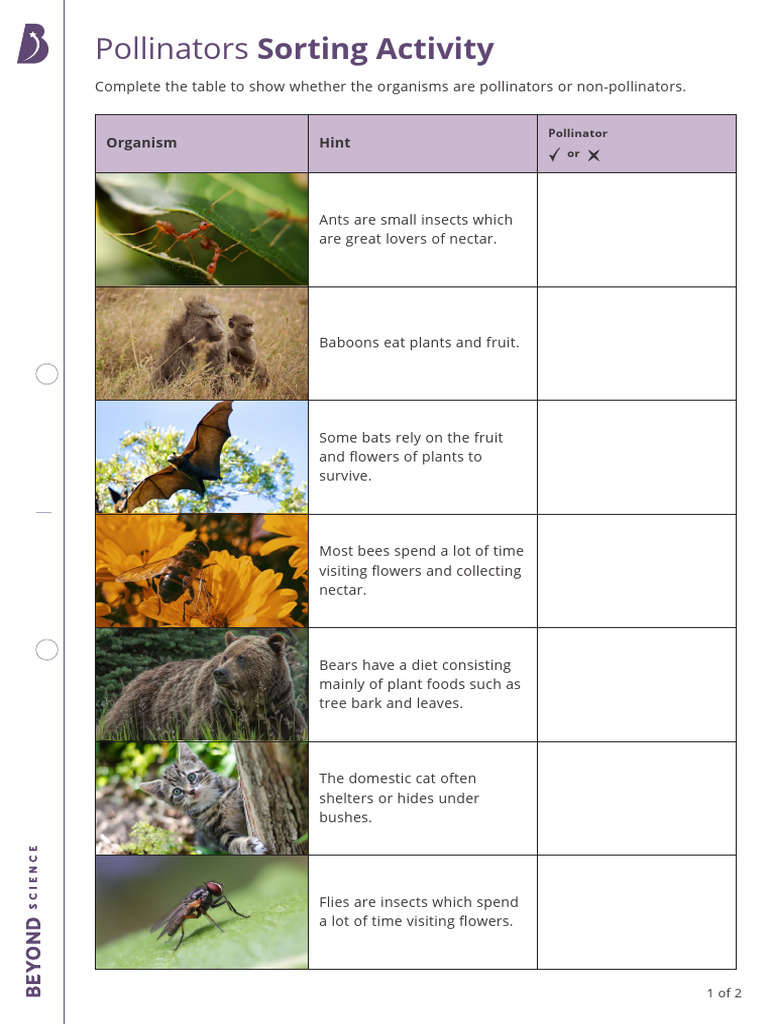 Pollinator Sorting Task Support | PDF