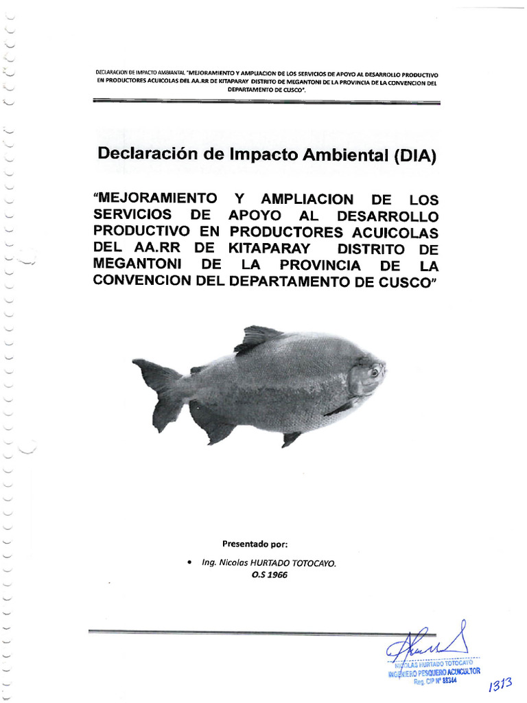DIA-DECLARACION DE IMPACTO AMBIENTAL | PDF