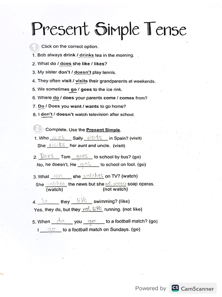 Present Simple Tense | PDF