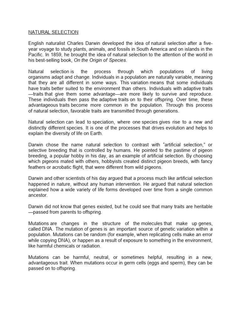 NATURAL SELECTION | PDF | Natural Selection | Mutation