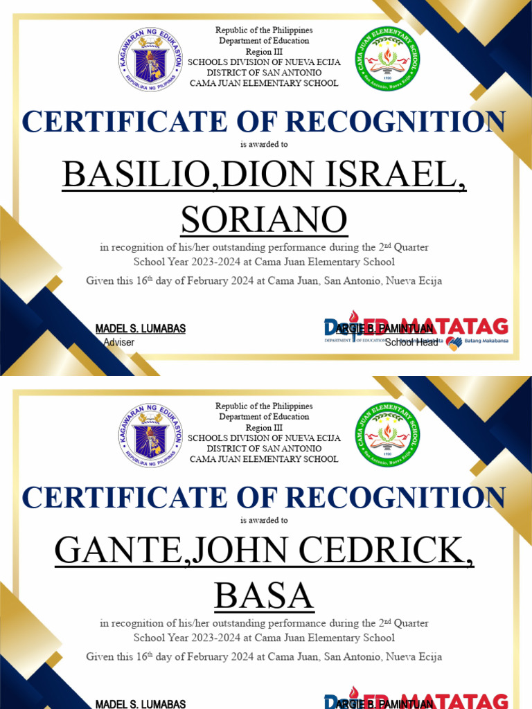 Certificate of Recognition Achiever | PDF | Government | Public ...
