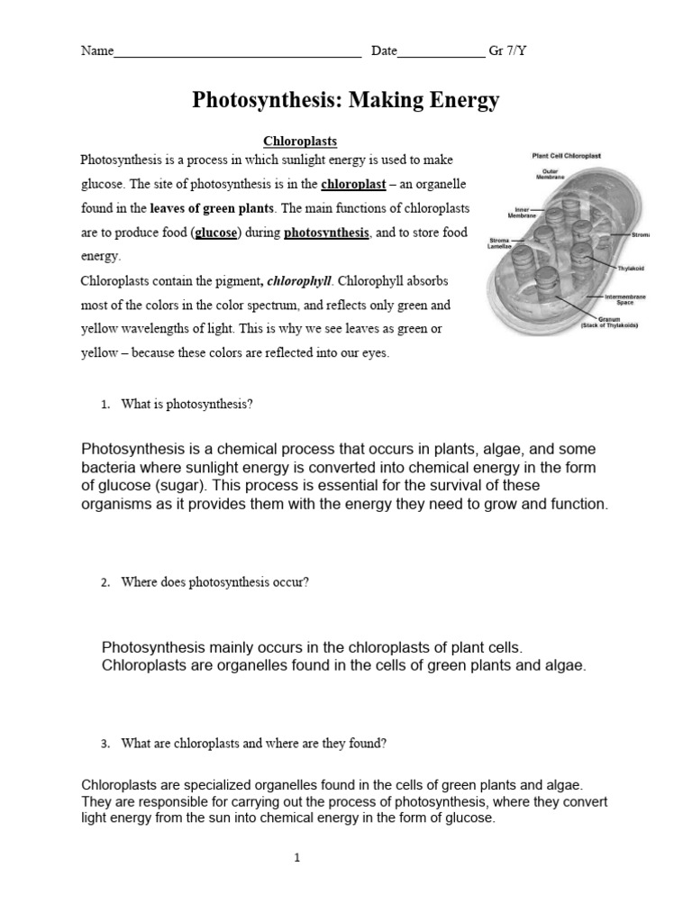 Photosynthesis for Grade 7 Students | PDF | Photosynthesis | Chloroplast