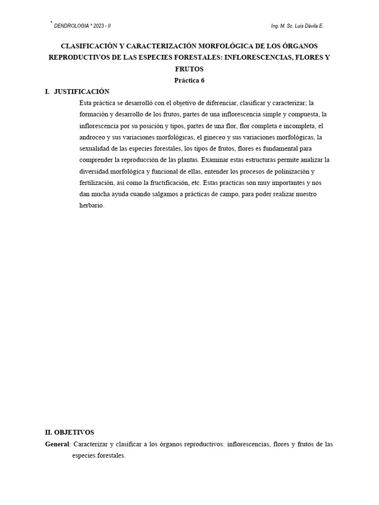 4.6 Practica #6. Inflorescencias, Floresy Frutos | PDF | Flores ...