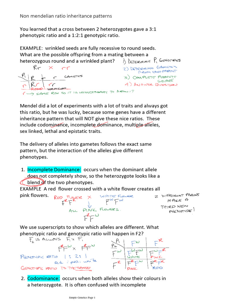 April 26 Non Mendelian Ratio Inheritance Patterns | PDF | Dominance ...
