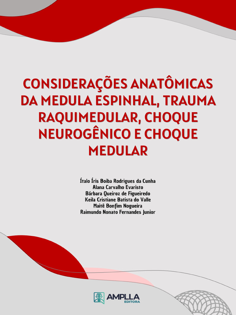 Consideracoes Anatomicas Medula Espinhal | PDF | Medula espinhal | Nervo