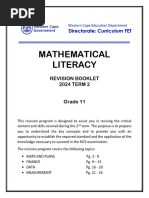Mathematical Literacy Grade 11 Paper 1 June 2025 | PDF