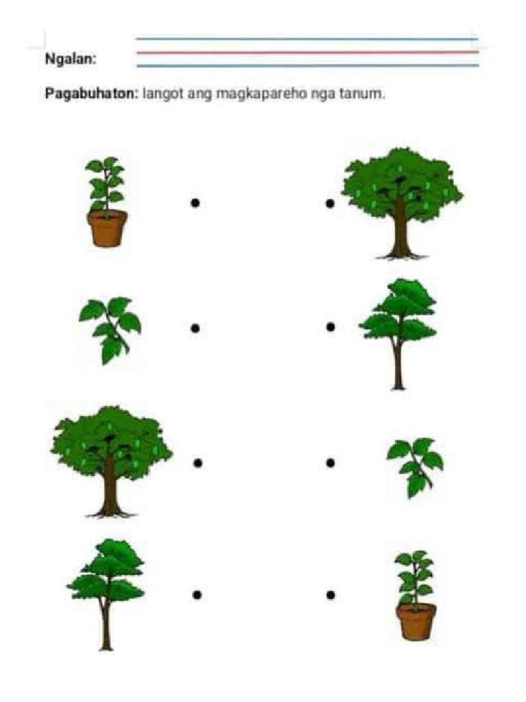 Jinky Portrait | PDF