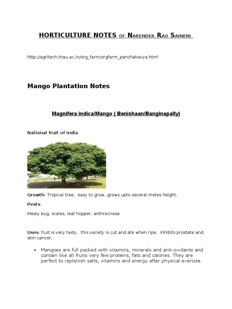 Horticulture Notes | PDF | Plant Nutrition | Soil