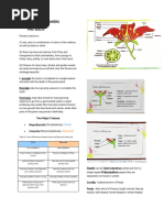 Understanding Plant Dehiscence Types | PDF | Organisms | Fruit
