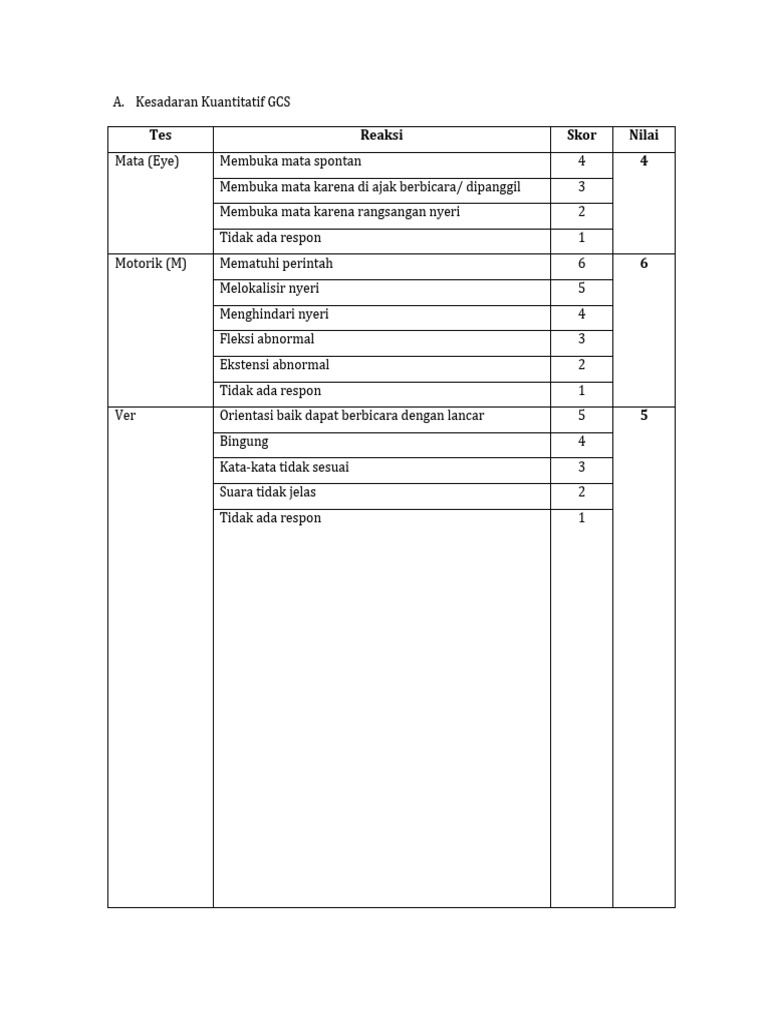 Pengkajian MMSE, Skala Braden, Skala Dekubitus Norton, NHISS, Skala Assworth | PDF