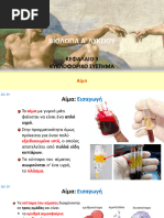 ΑΝΑΤΟΜΙΑ γ επαλ | PDF
