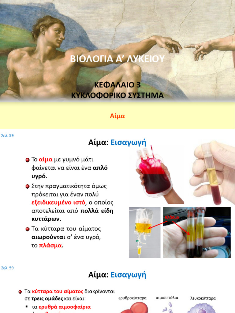 3.4 ΑΙΜΑ | PDF