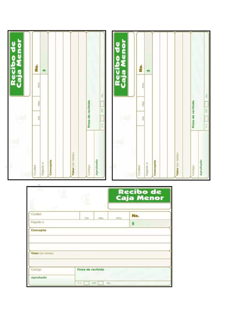 Recibo Caja Menor | PDF