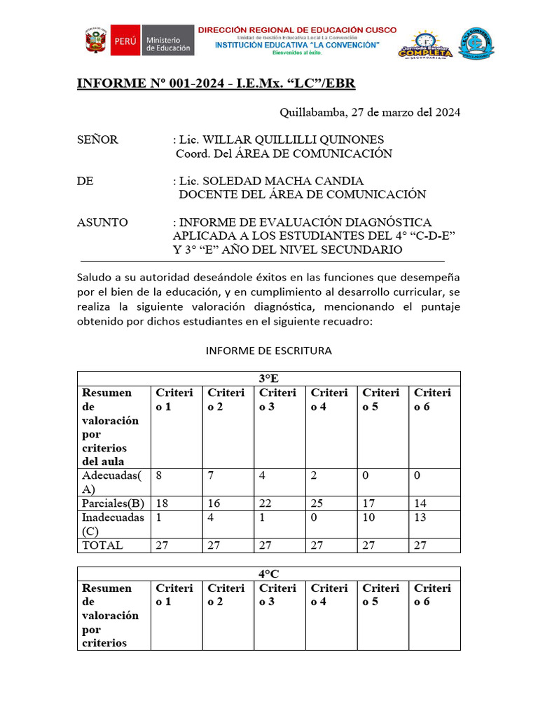 I Informe de Diagnostico | PDF