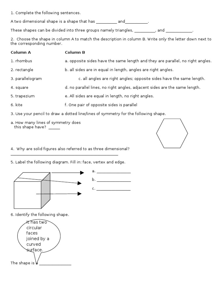 Understanding 2D and 3D Shapes | PDF