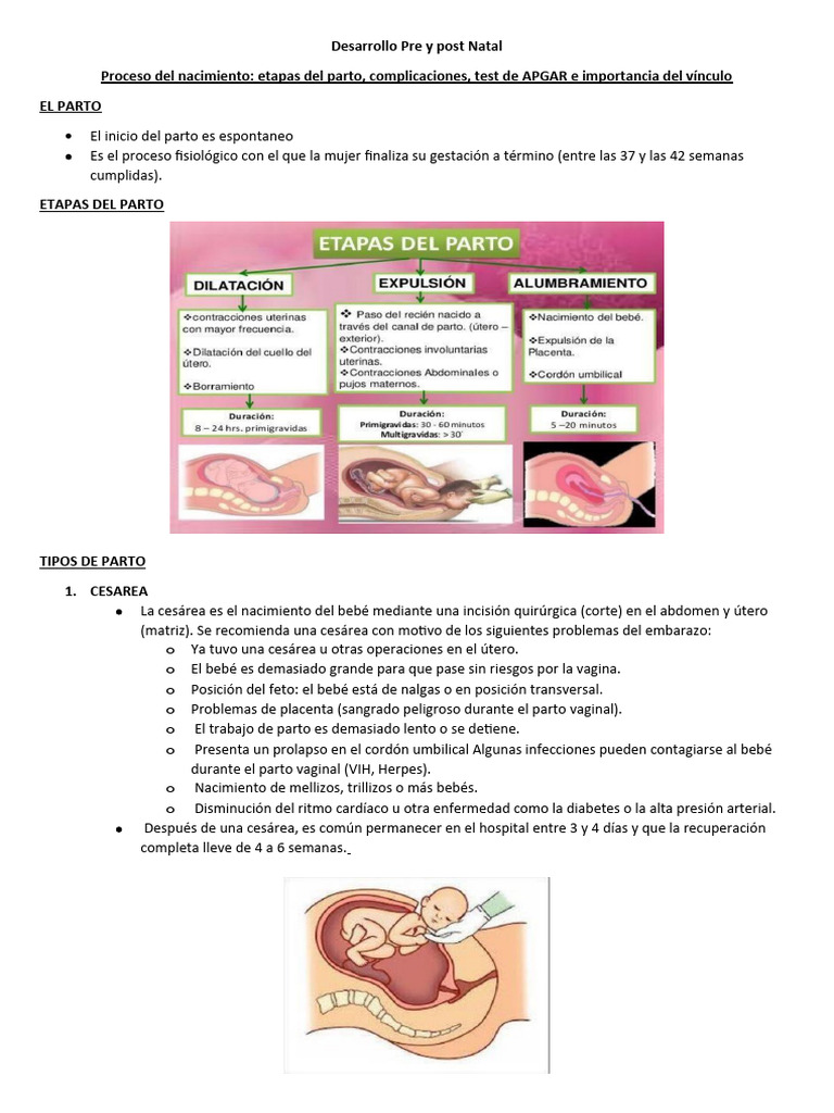 9 Proceso Del Nacimiento Etapas Del Parto | PDF | Parto | Seccion de ...