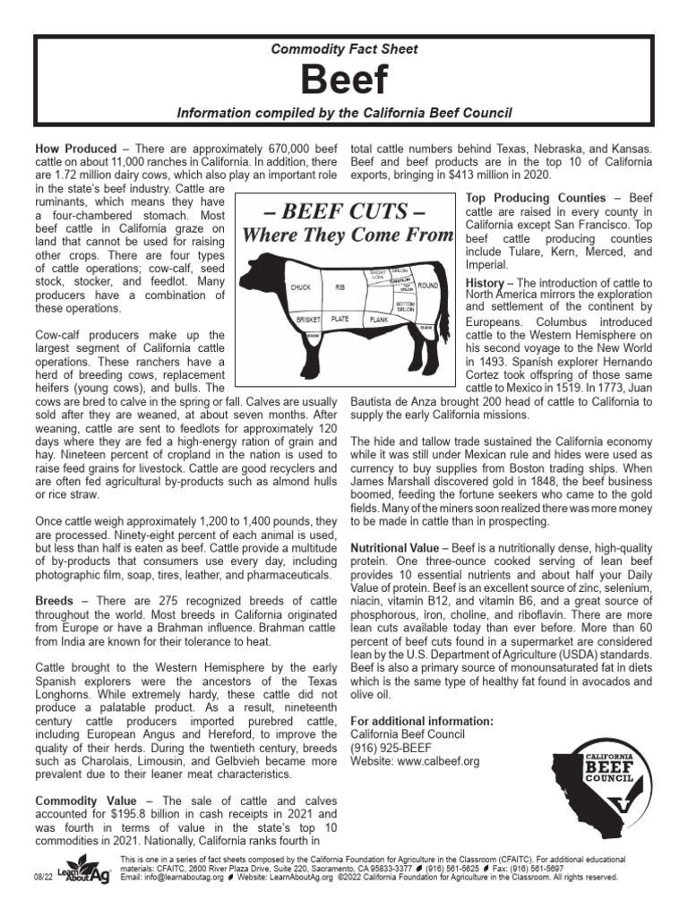 Beef | PDF | Cattle | Digestion