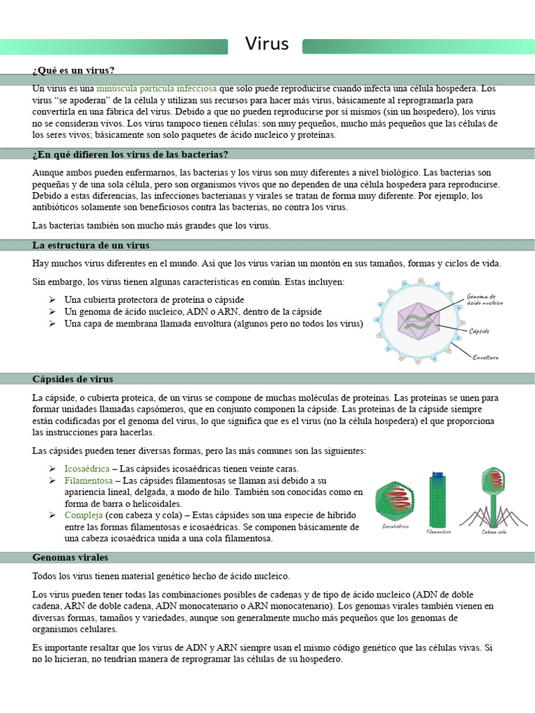 Resumen Virus | PDF | Virus | Retrovirus