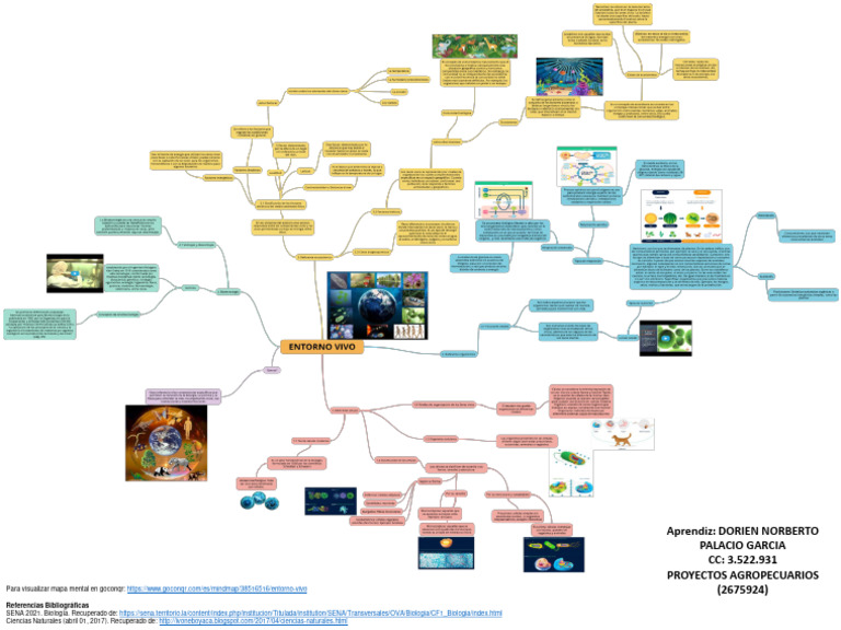 Mapa Mental Conceptos Básicos Del Entorno Vivo GA1-220201501-AA1-EV01 | PDF