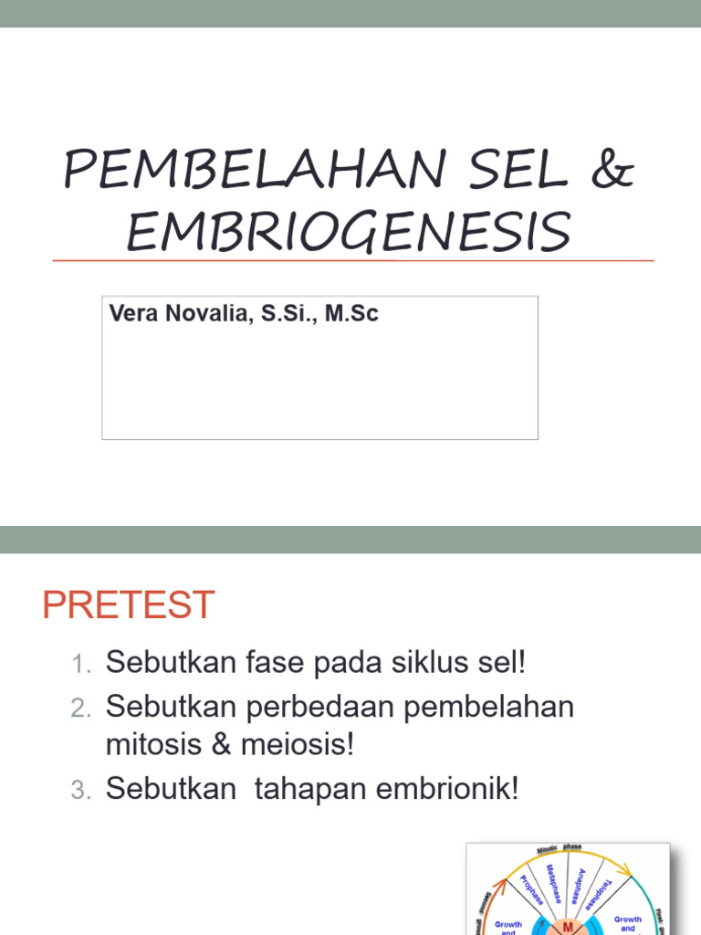 P 1.2 Embriogenesis Dan Pembelahan Sel | PDF