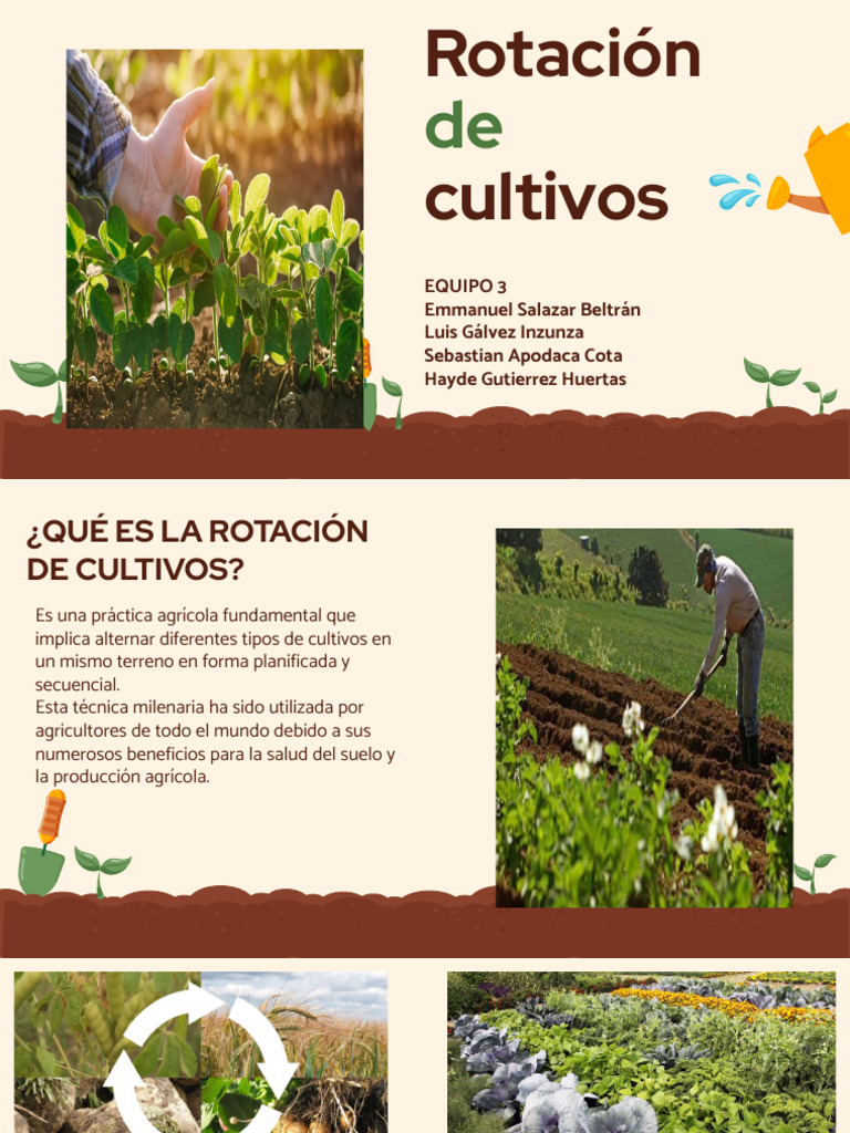 Rotación de Cultivos 1-10 | PDF | Agricultura | Suelo