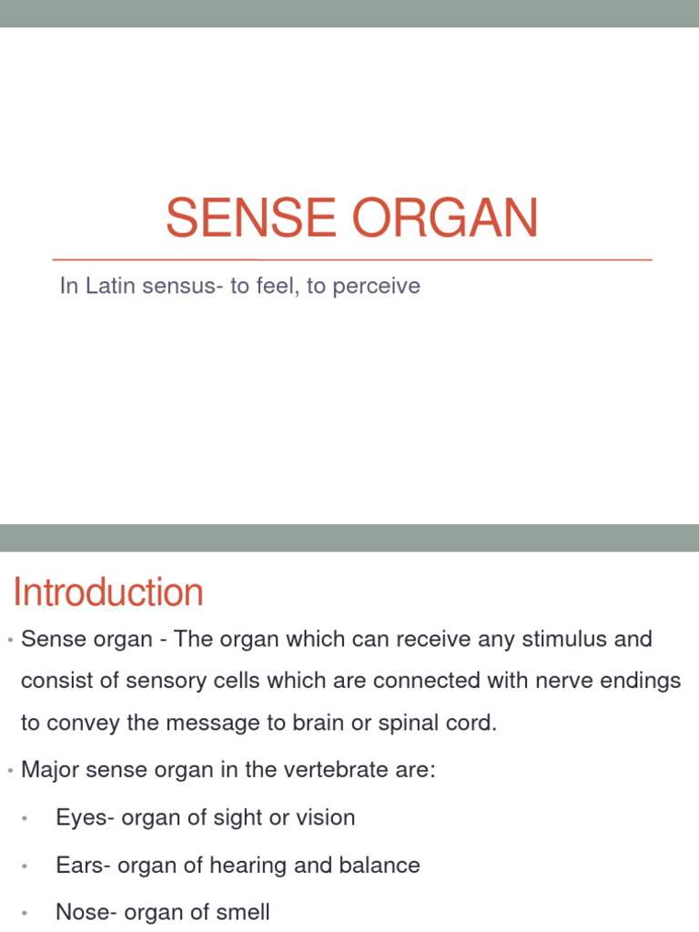Sense Organ: in Latin Sensus-To Feel, To Perceive | Download Free PDF | Human Eye | Eye