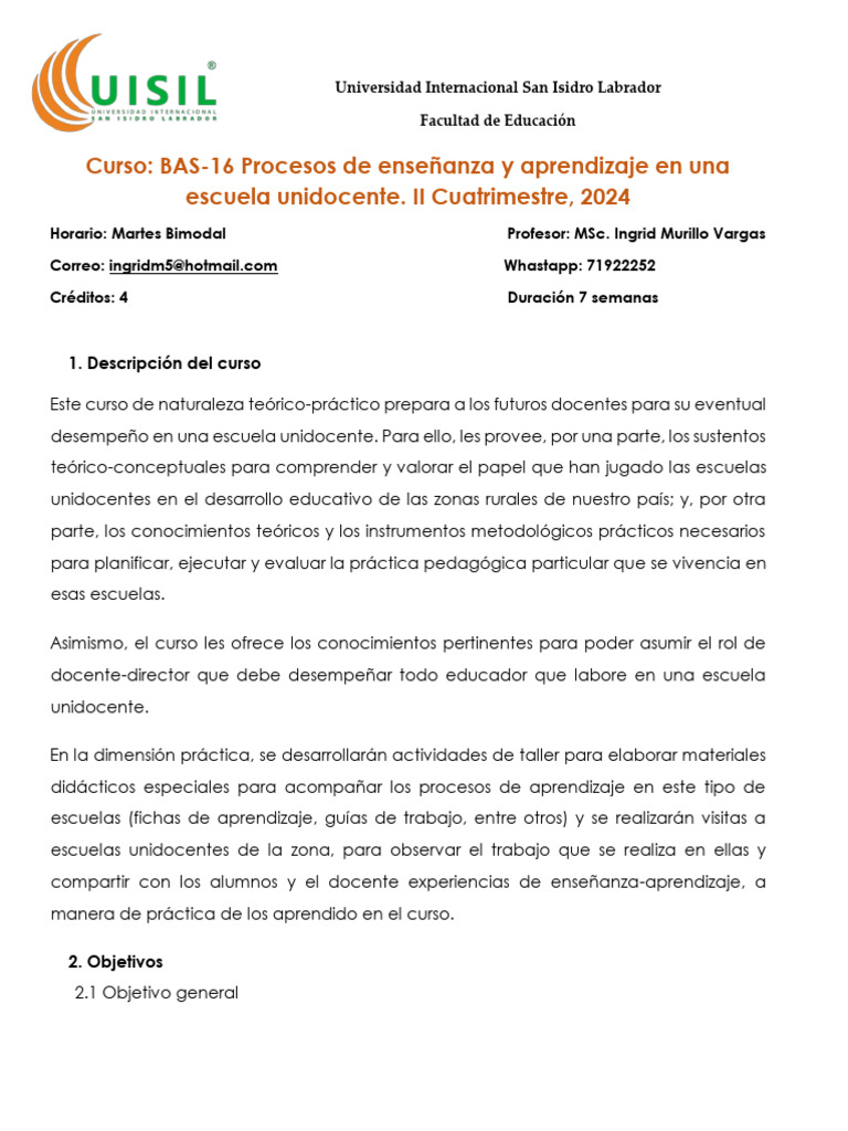 PROGRAMA | PDF | Infografia | Enseñando