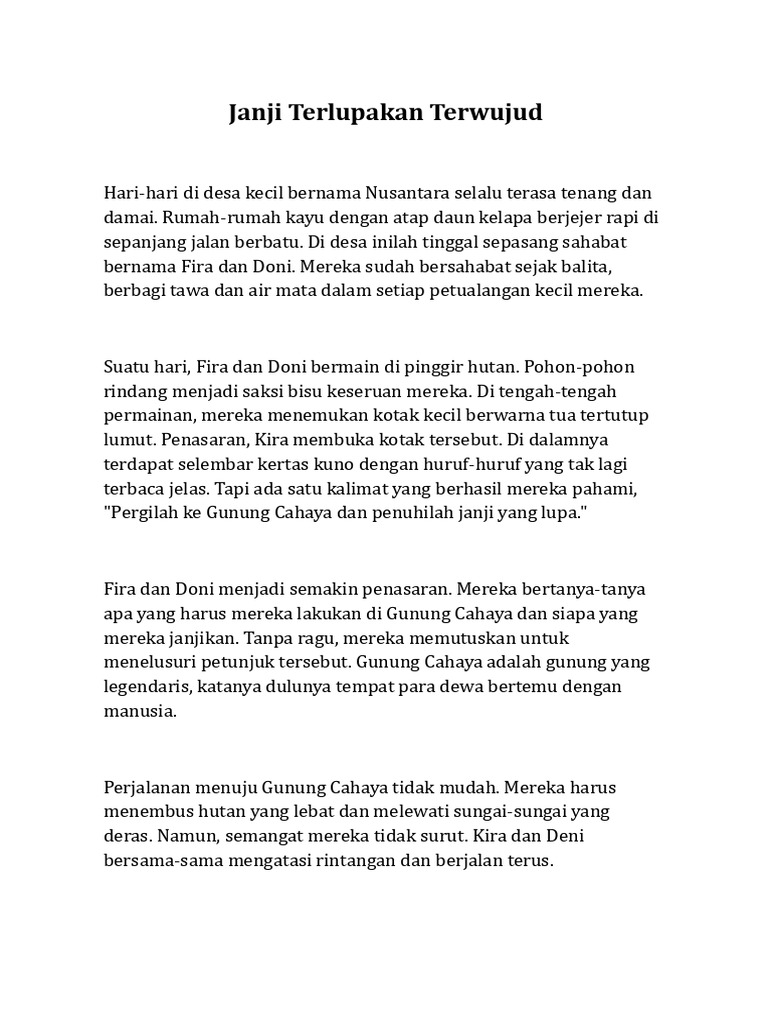 The Forgotten Promise | PDF