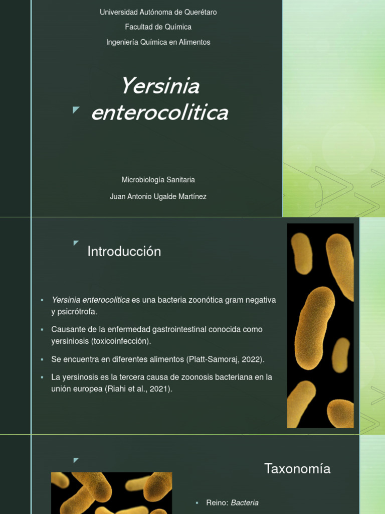 Juan Ugalde_Yersinia enterocolitica | PDF | Las bacterias ...
