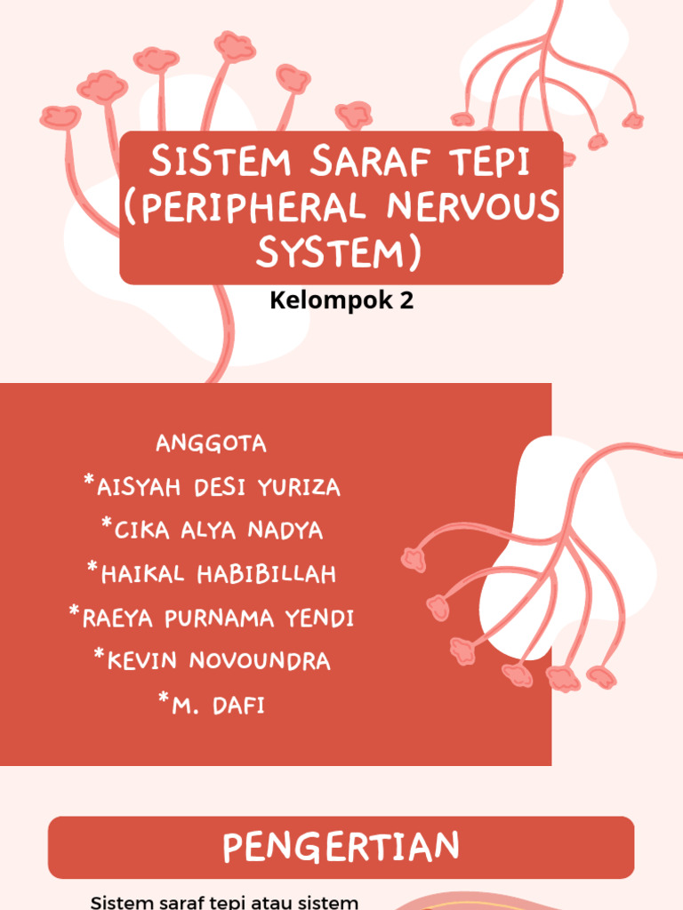Sistem Saraf Tepi: Fungsi dan Jenis | PDF | Sains & Matematika