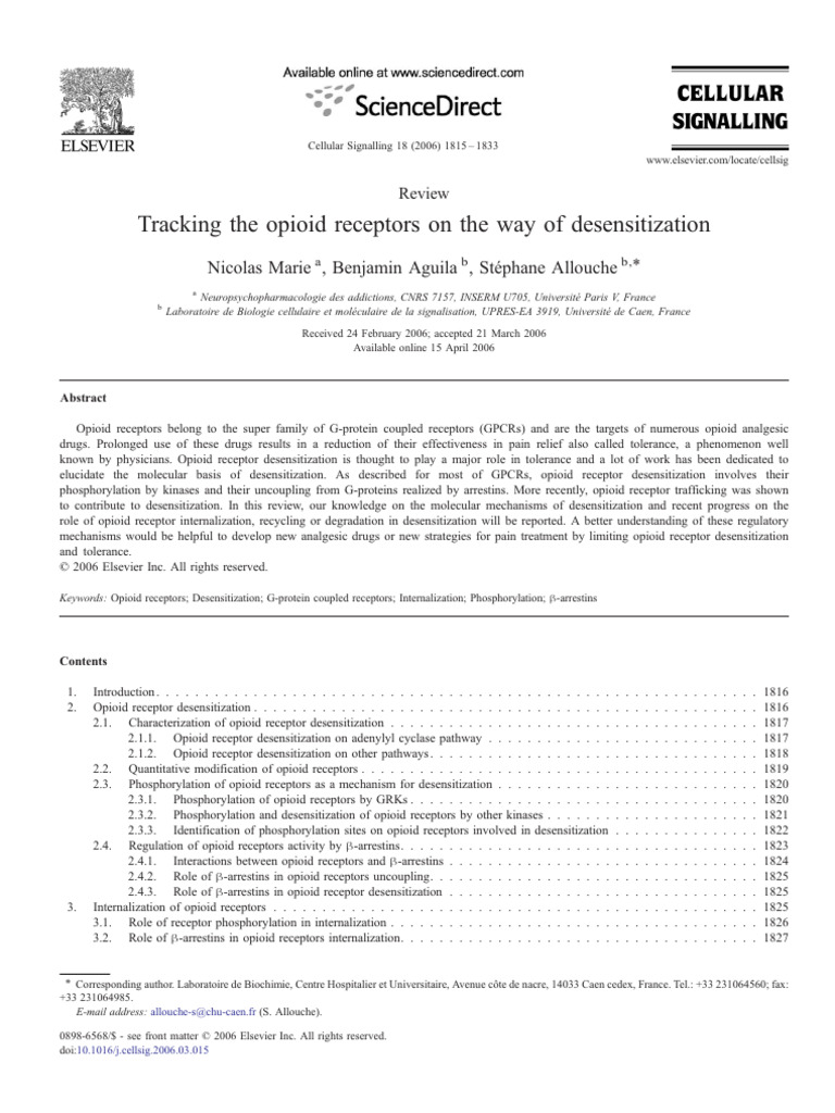 Tracking Opoid Receptors Until Desensitization | PDF | Morphine ...
