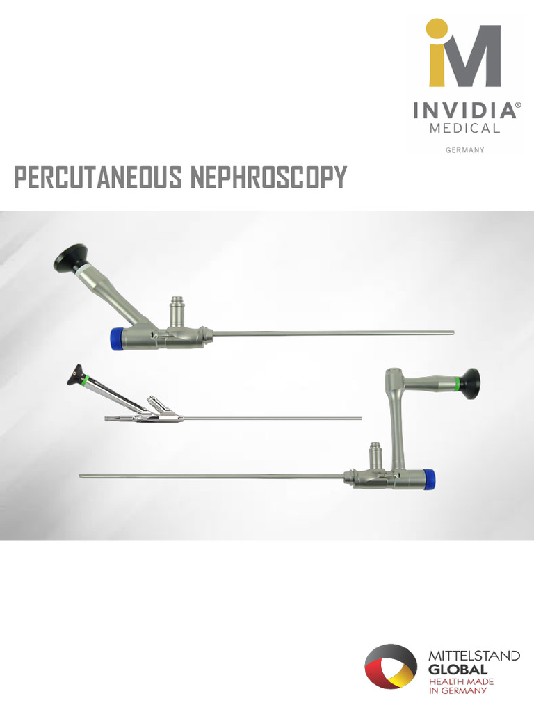 Percutaneous Nephroscopy Instruments Guide | PDF | Technology & Engineering