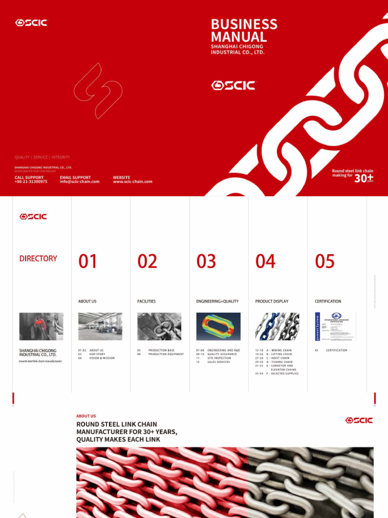 SCIC Brochure 1 | PDF