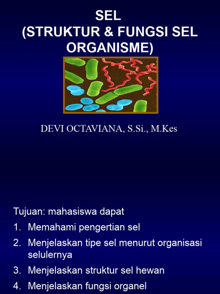 Sel Struktur Fungsi Sel 2015 Pdf