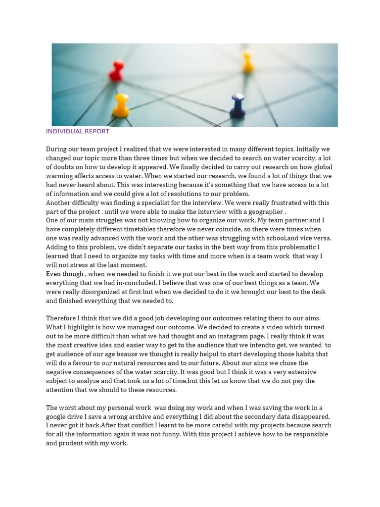 INDIVIDUAL REPORT (february) | PDF | Cognition | Social Psychology