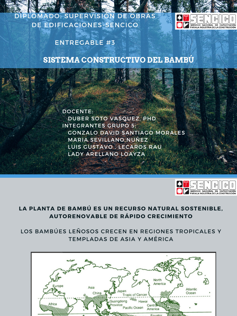 Construcción Sostenible con Bambú | PDF | Techo | Agua