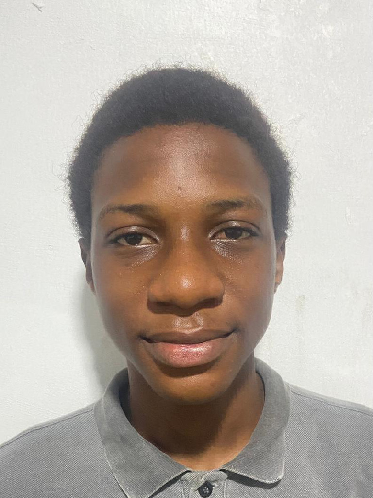 Document WPS Office | PDF