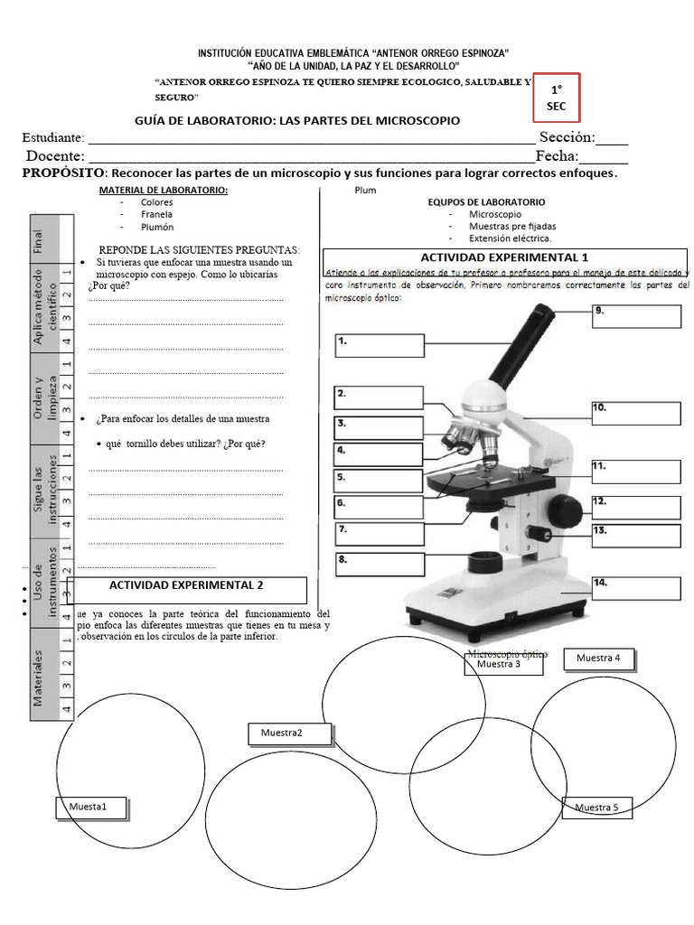 GUIA DE LABORATORIO-PARTES DEL MICROSCOPIO-ofelia | PDF | Laboratorios