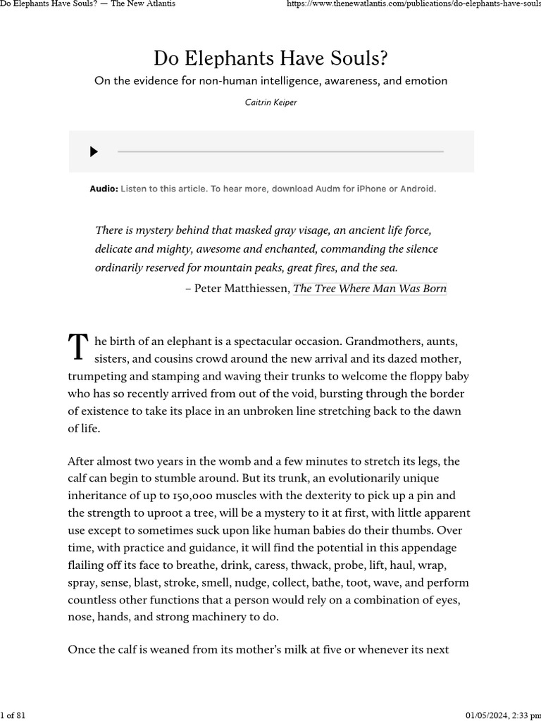 Do Elephants Possess Souls? Exploring Awareness | PDF | Reason | Soul