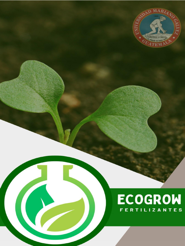 Ecogrow Grupo 2 Sección C | PDF | Agricultura | Sustentabilidad