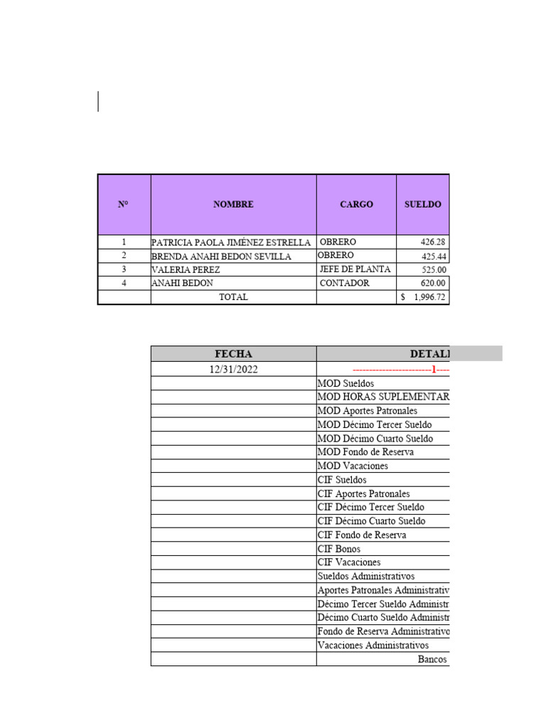 Formato Rol de Pagos | PDF