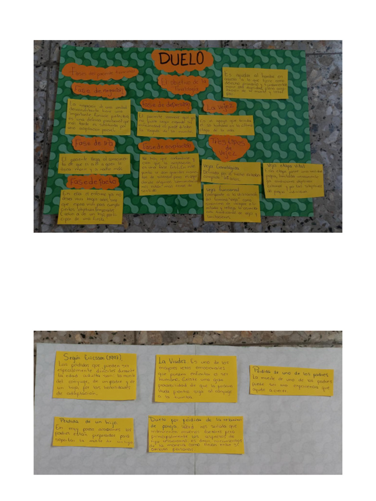 Mapas Conceptuales De Salud Mental Pdf 8602