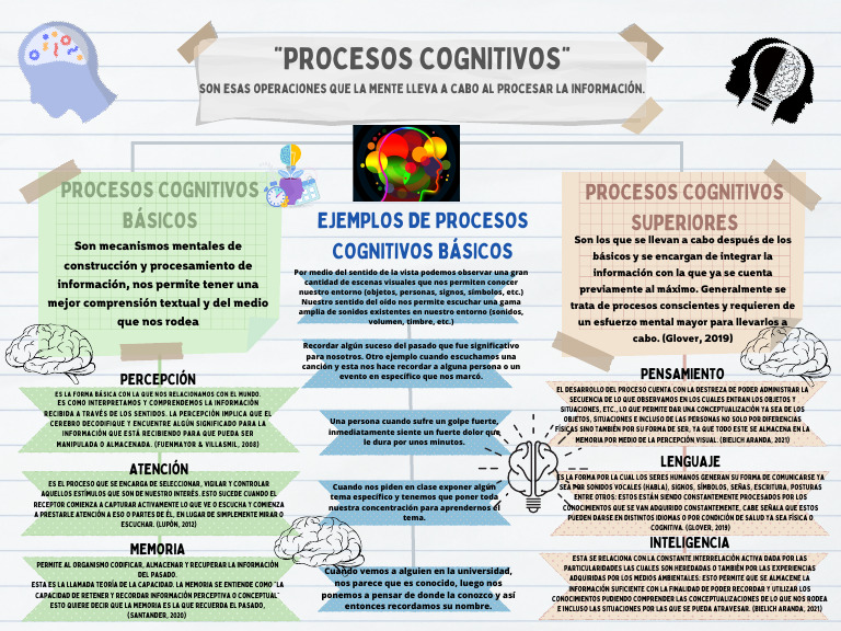 Procesos Cognitivos Básicos y Superiores | PDF | Mente | Percepción