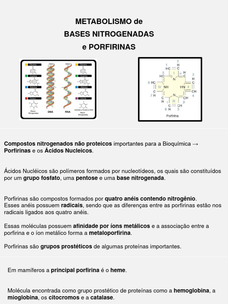Aula 11 Metabolismo Bases Nitrogenadas Porfirinas | Download grátis PDF | RNA | DNA