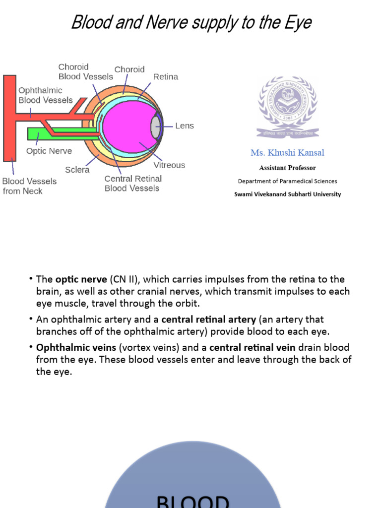 Blood and Nerve supply to the Eye | PDF | Human Eye | Nervous System