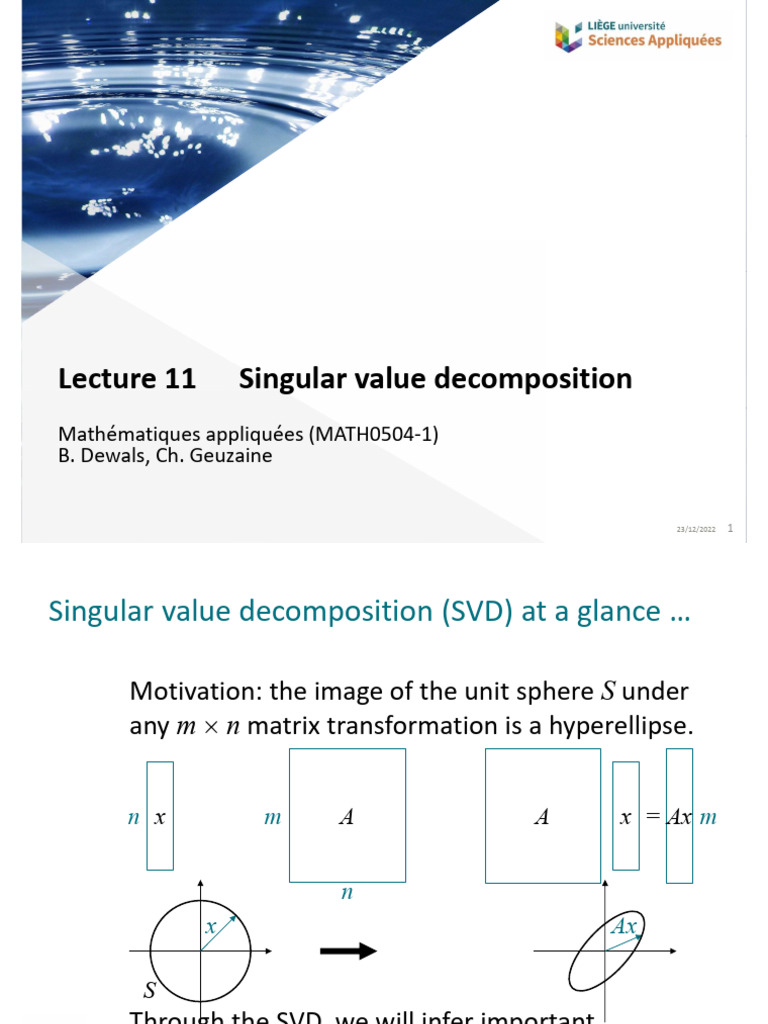11 SVD | Download Free PDF | Matrix (Mathematics) | Linear Algebra
