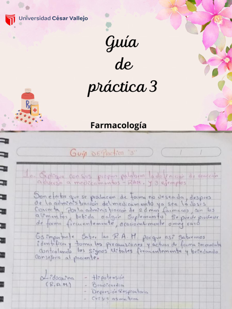 Guía 3 | PDF